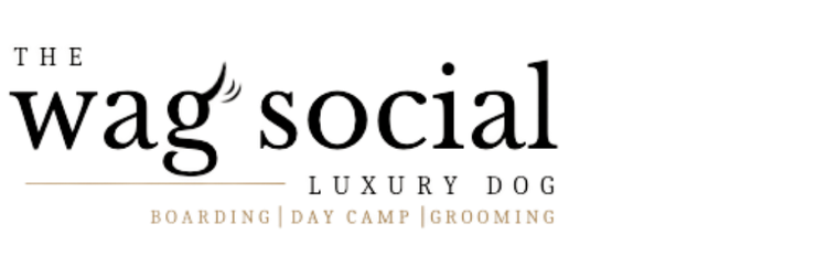 Boarding – The Wag Social